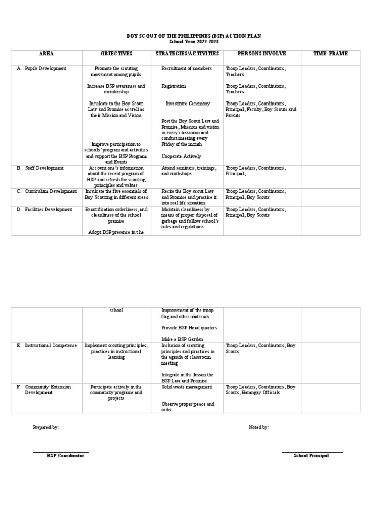 BSP Action Plan | PDF | Boy Scouts Of America | Scouting