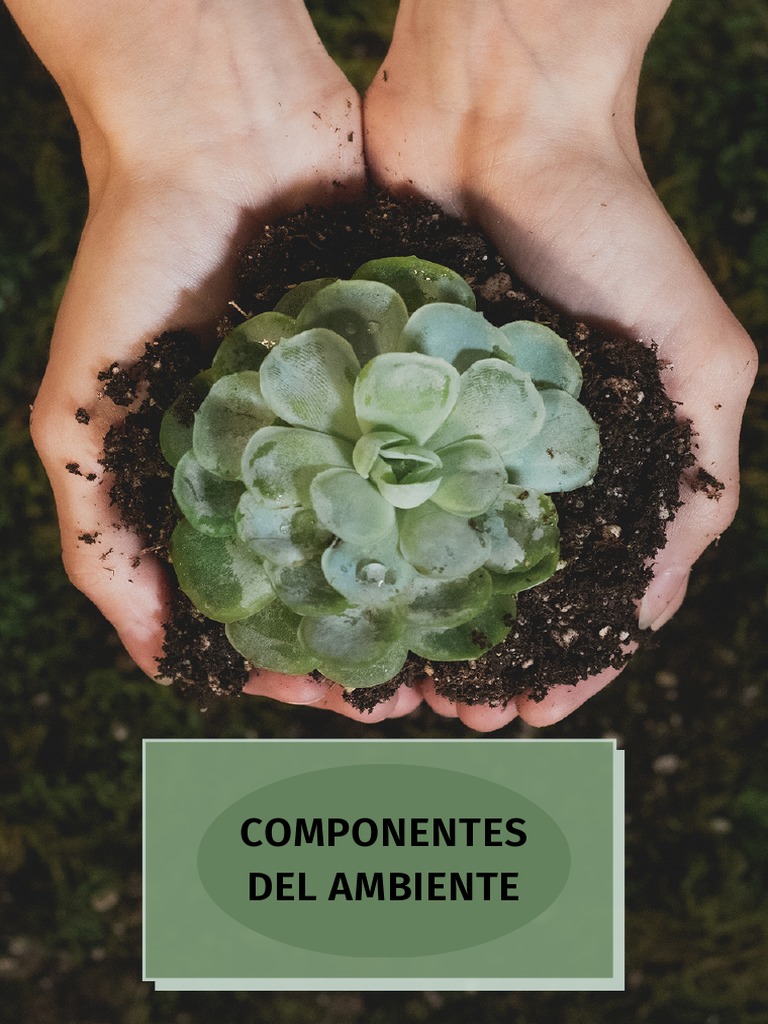 Componentes del Medio Ambiente | PDF | Atmósfera | Entorno natural