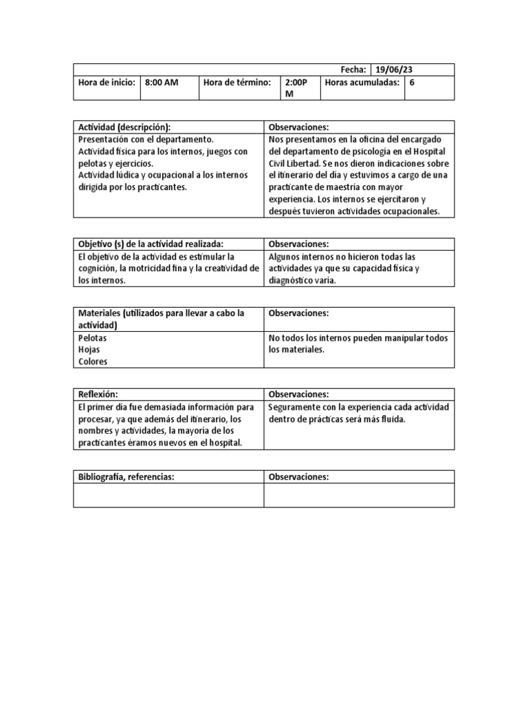 Ejemplo Formato Bitácora Prácticas II | PDF | Hospital | Sicología