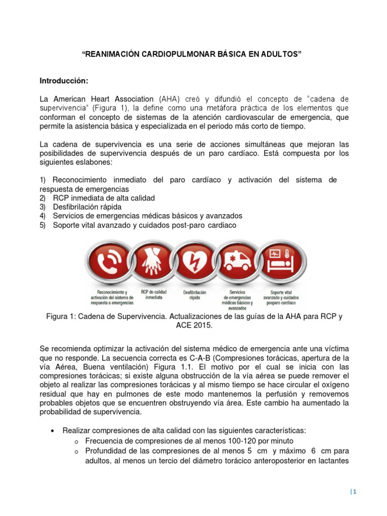 Modulo RCP Basica | PDF | Reanimación cardiopulmonar | Paro cardíaco