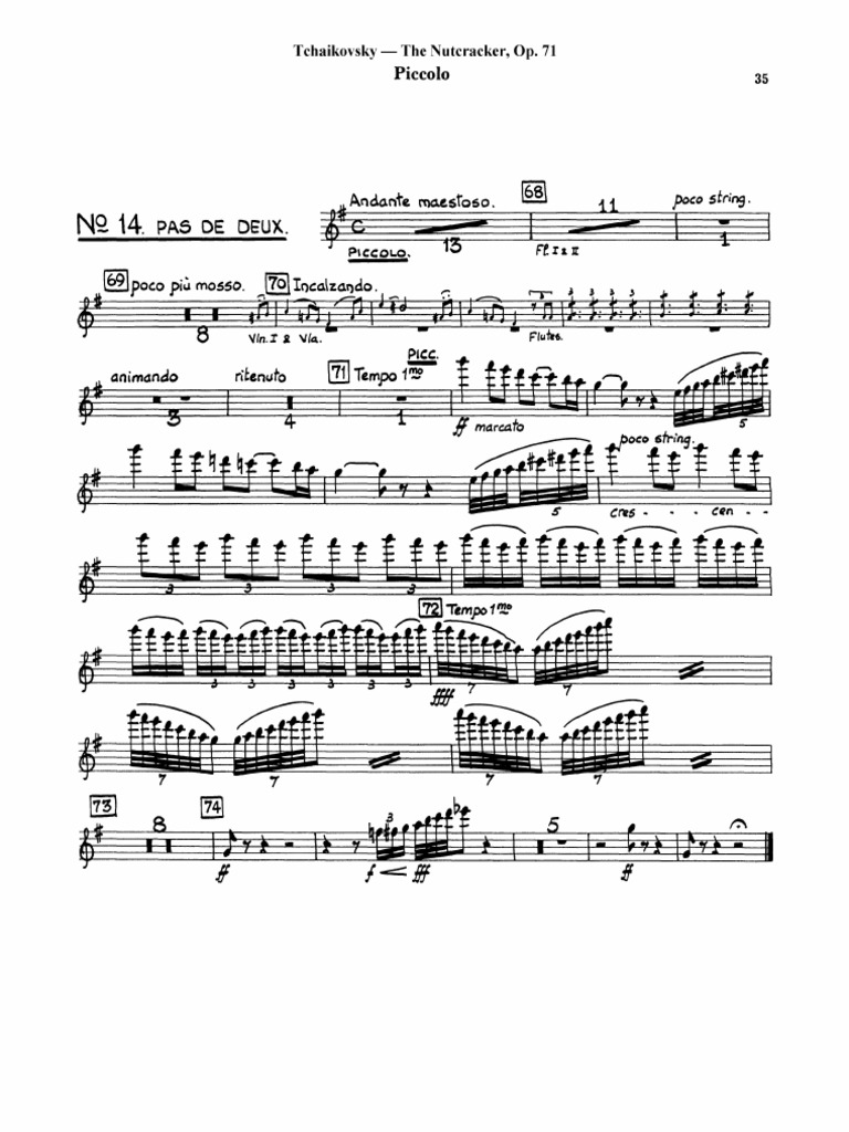 Tchaikovsky - Pas de Deux (Picc) | PDF