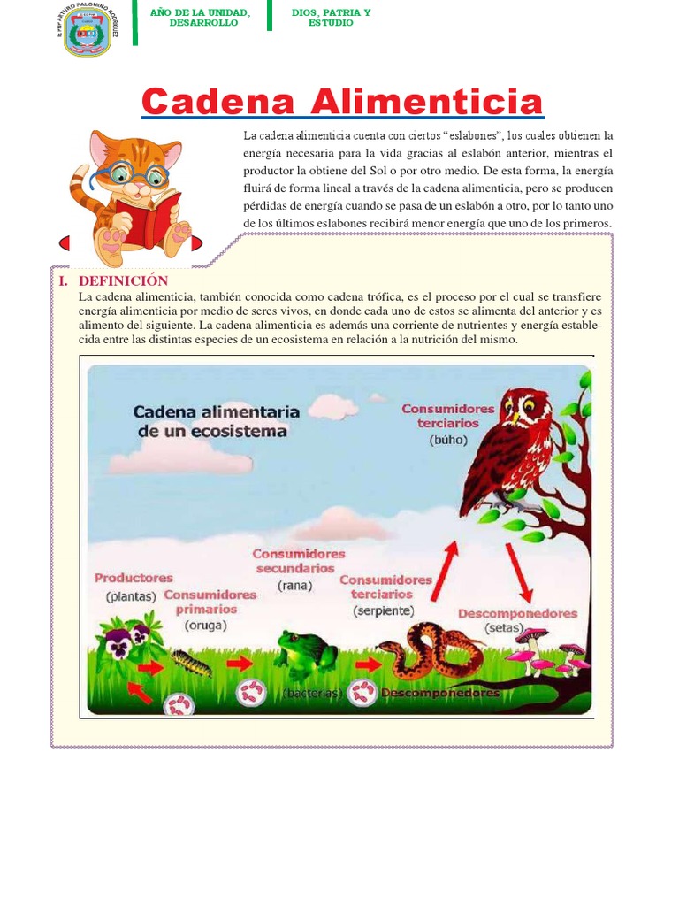 Cadena Alimenticia y Niveles Tróficos | PDF | Red alimentaria ...