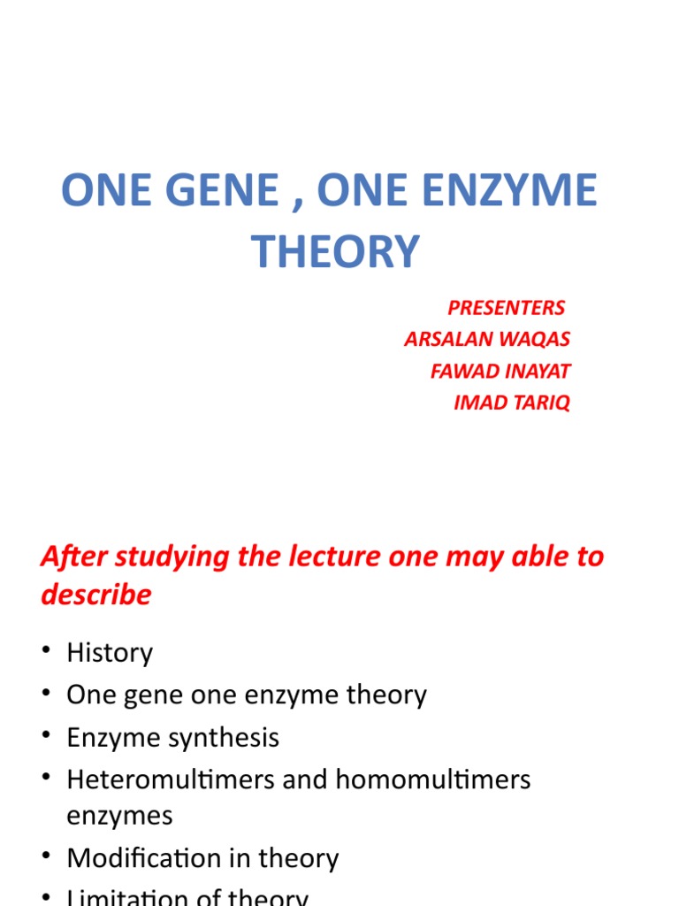 One Gene One Enzyme Theory | PDF | Gene | Enzyme