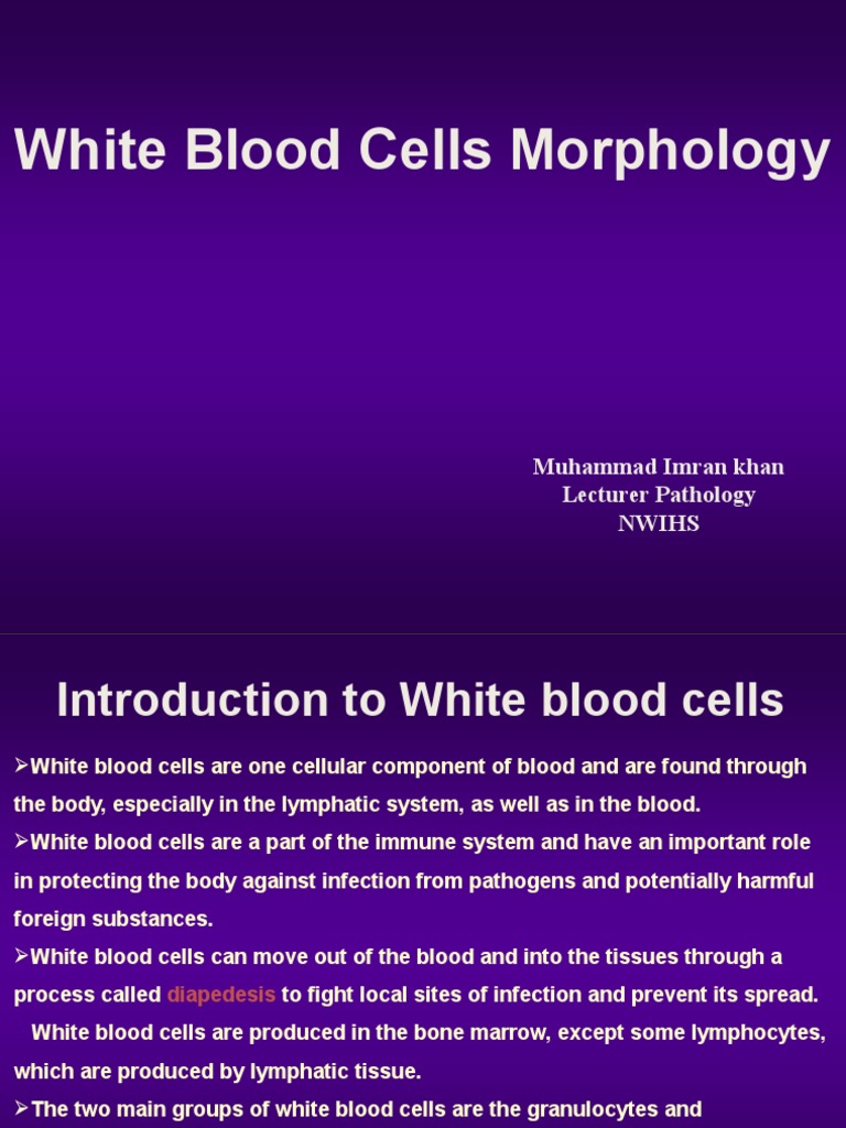 WBC Morphology | Download Free PDF | White Blood Cell | Granulocyte