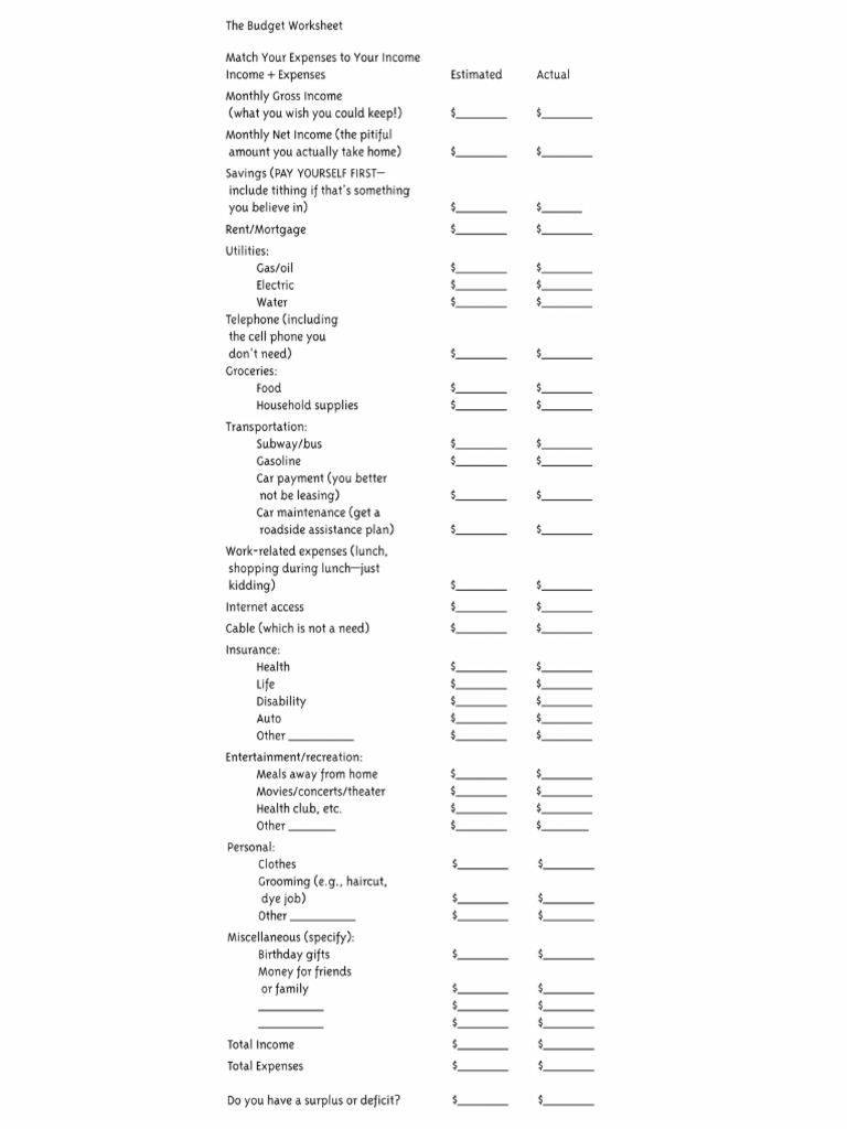 The Budget Worksheet PDF