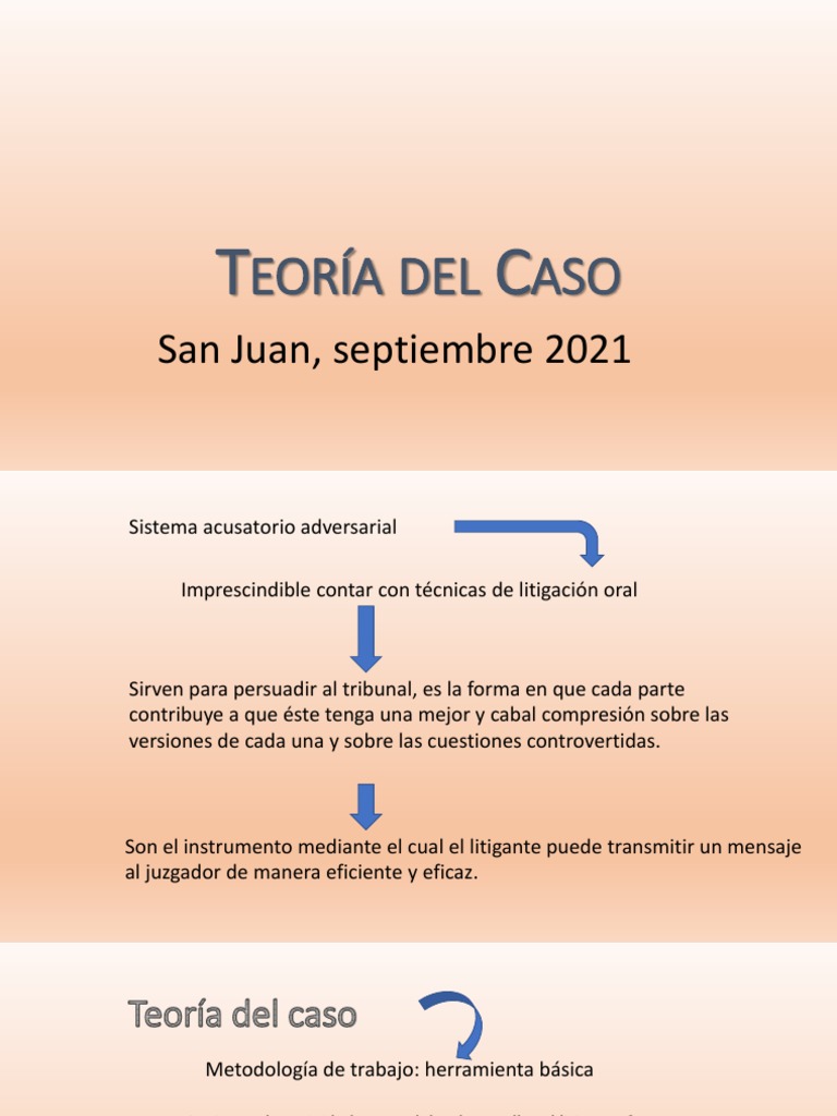 Teoria Del Caso | PDF | Derecho penal | Caso de ley