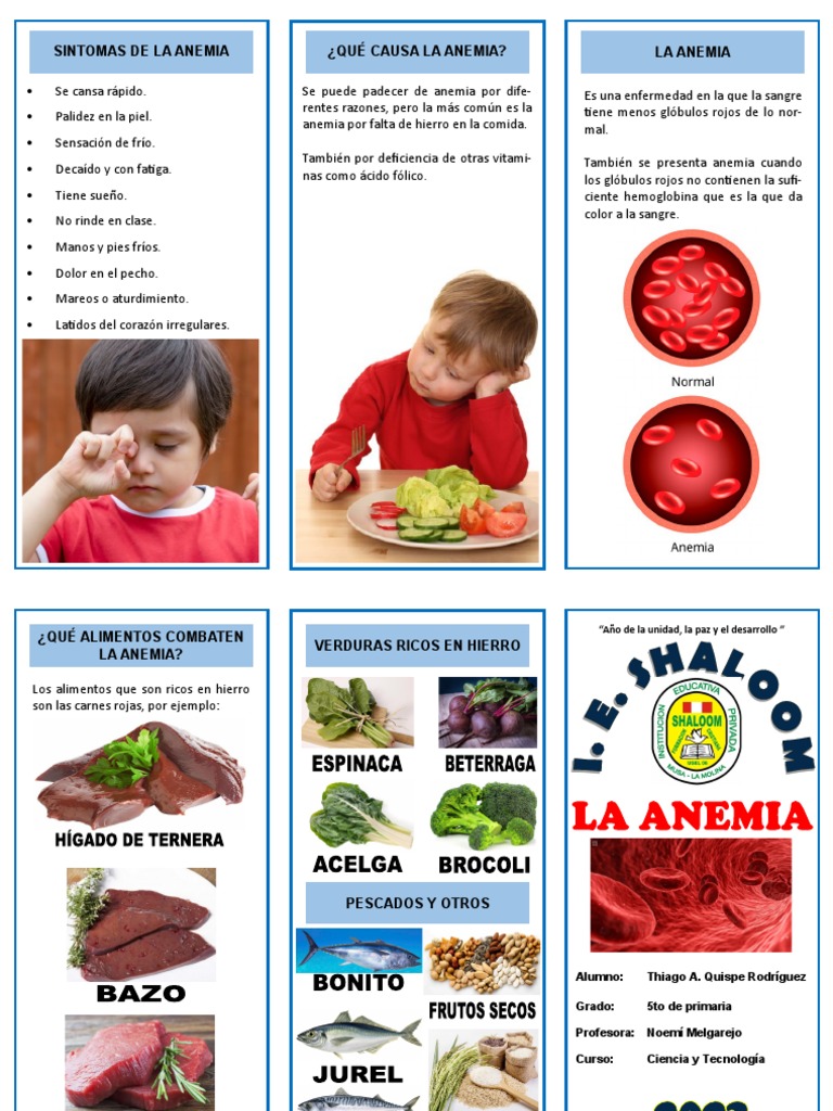 Triptico La Anemia | PDF