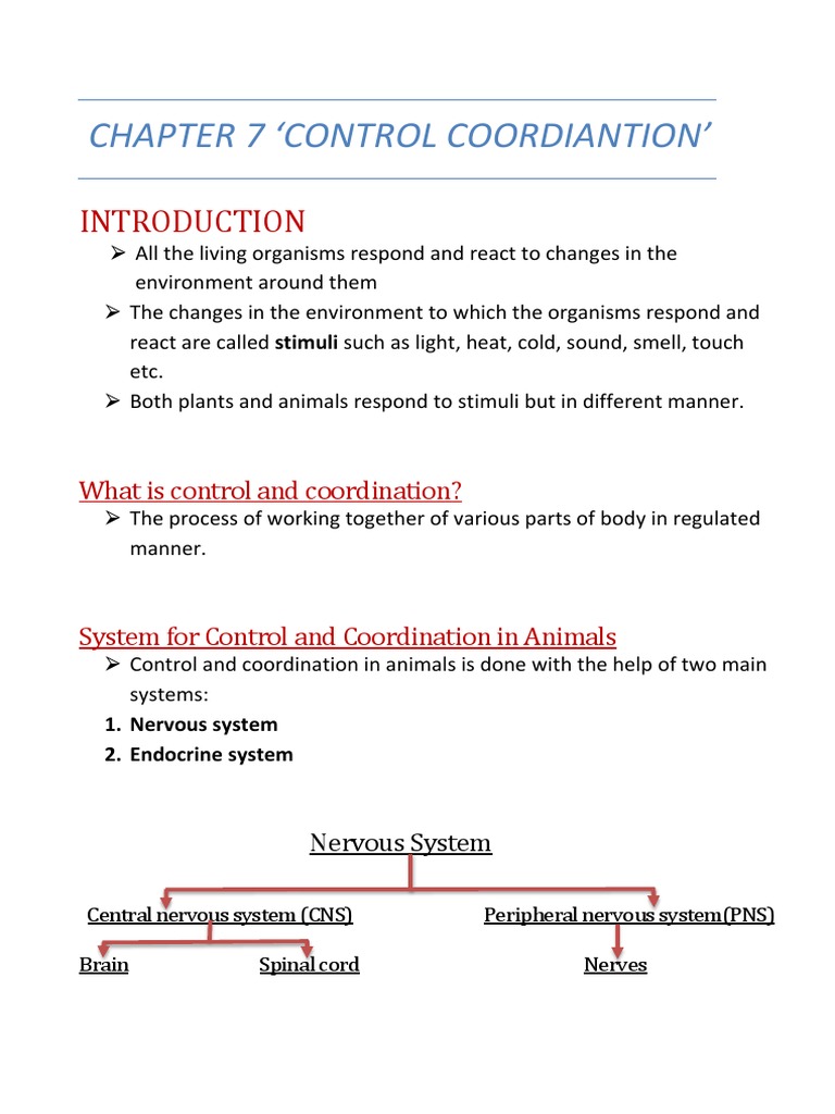 Chapter 7 Bio Class 10 | PDF | Neuron | Central Nervous System