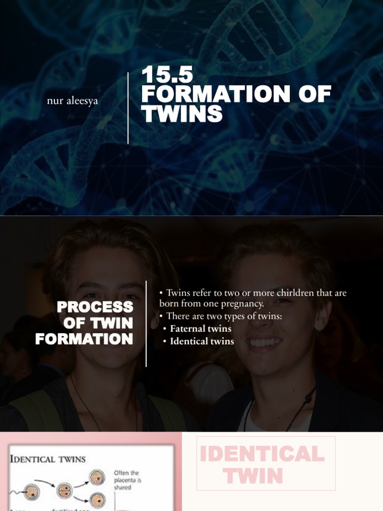 Types and Formation of Twins | PDF