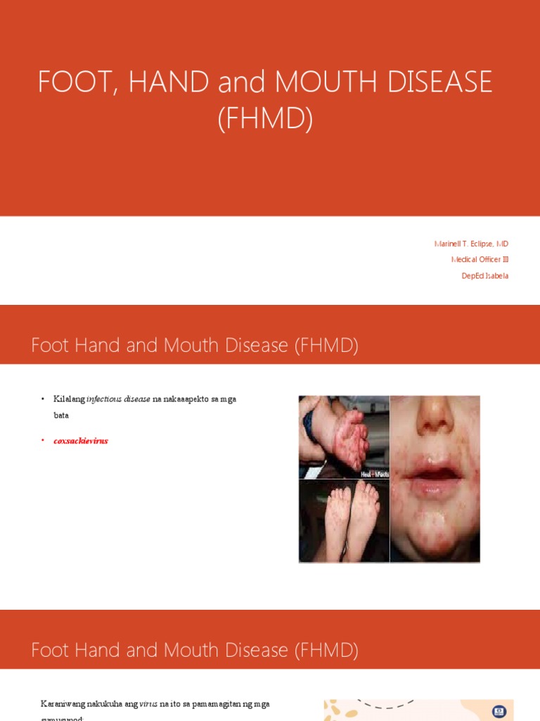 Foot, Hand and Mouth Disease (FHMD | PDF