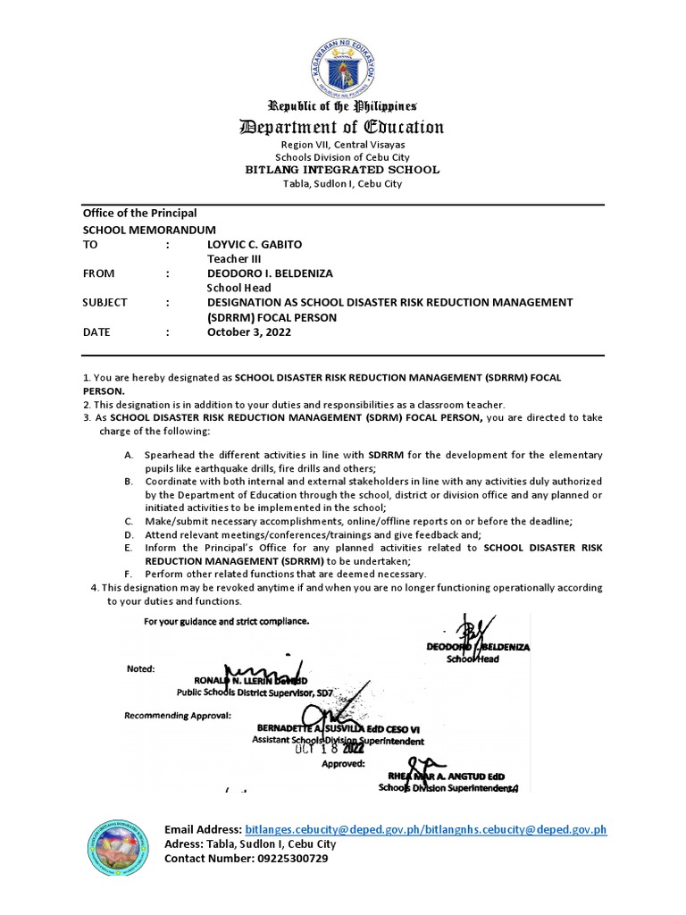 SDRRM Designation | PDF