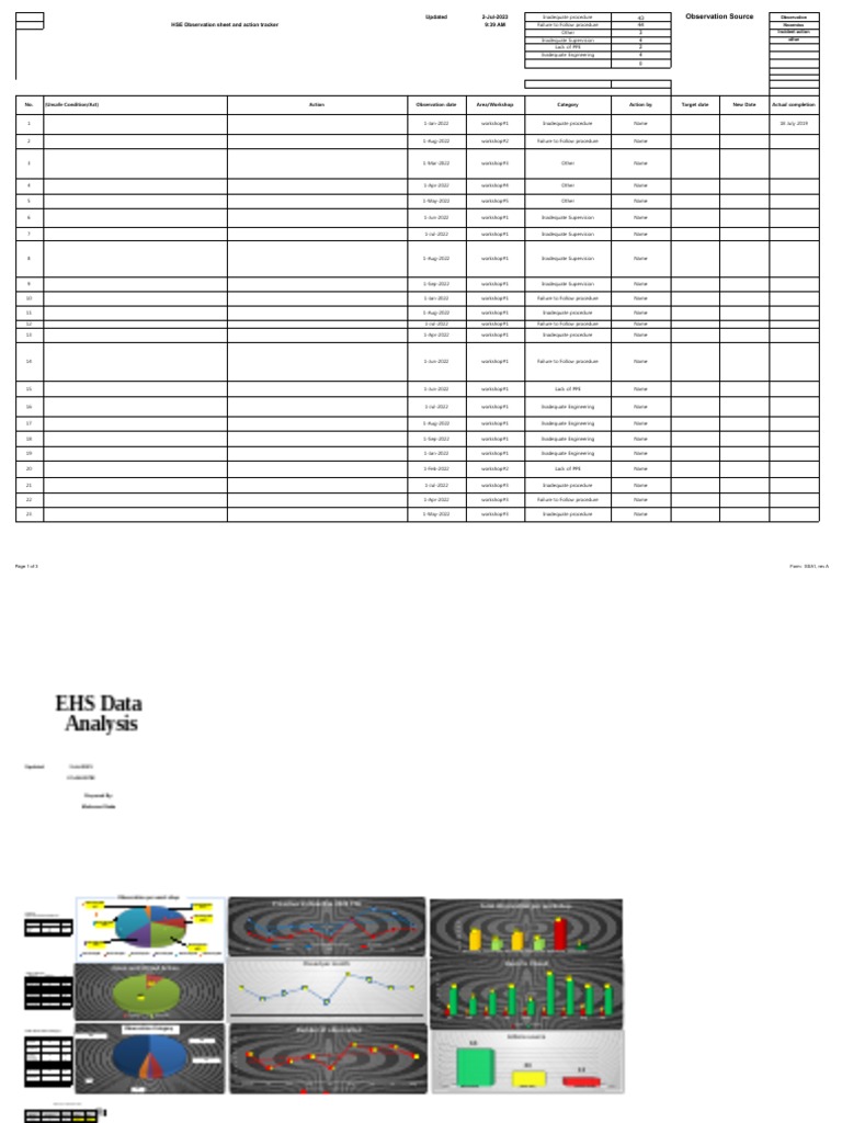 HSE Data Analysis Sheet | PDF