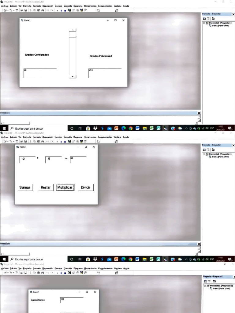 Ejercicio Práctico de Visual Basic Brayan Álvarez | PDF | Software | Informática