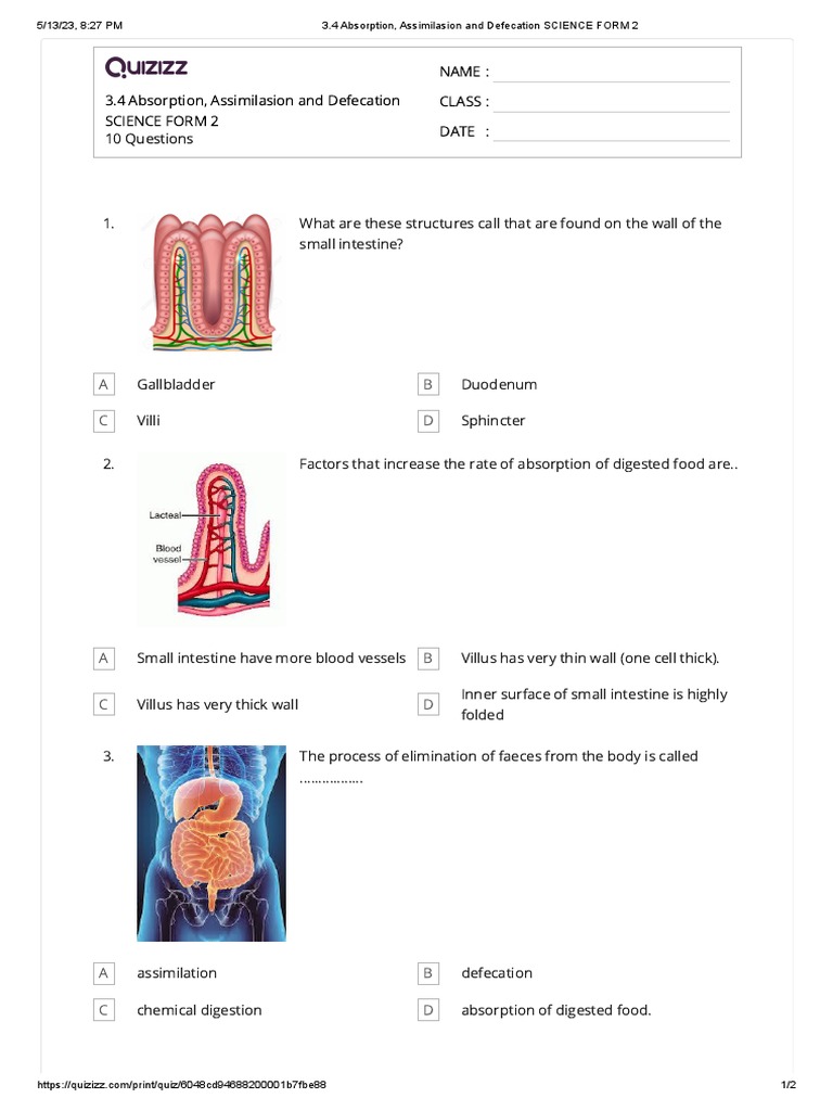3.4 Absorption, Assimilasion and Defecation SCIENCE FORM 2 | PDF ...