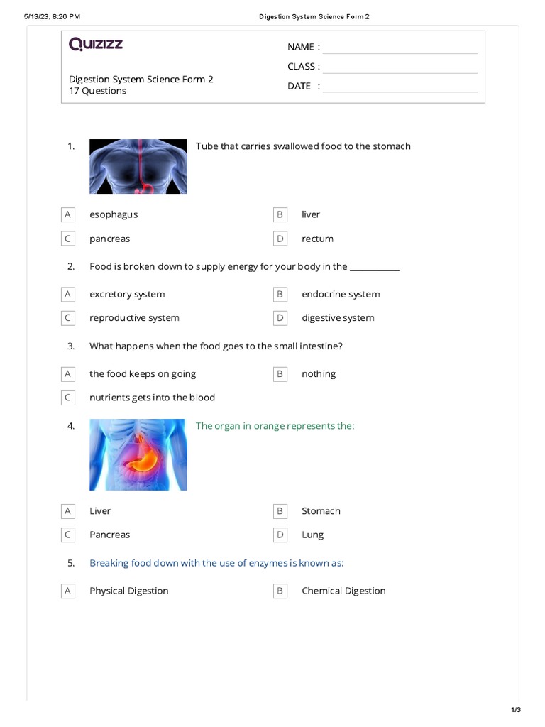 Digestion System Science Form 2 | PDF | Human Digestive System | Digestion