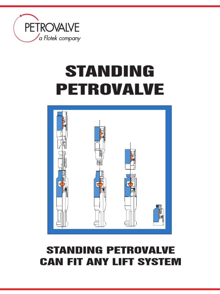 Standing Valve | PDF | Pump | Valve