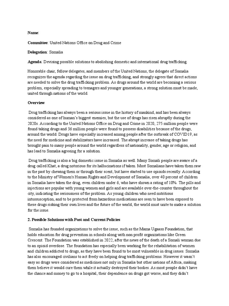 MUN Example | PDF | Drugs | Somalia