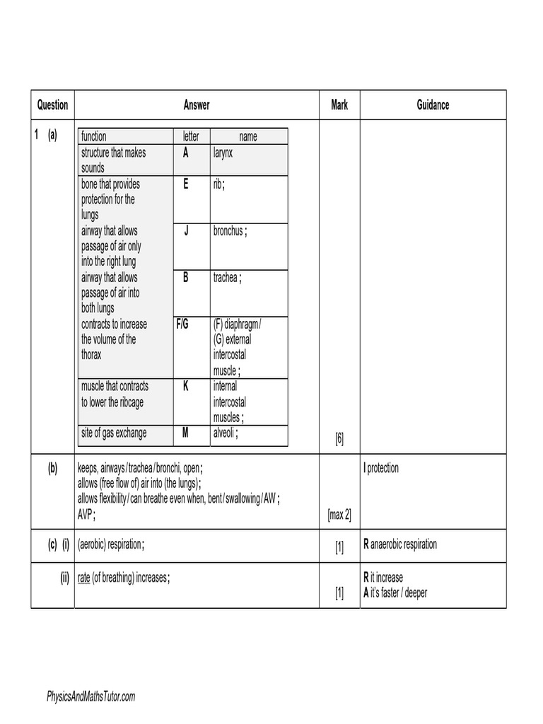 Biology Exam Answer Key | PDF | Breathing | Respiratory Tract