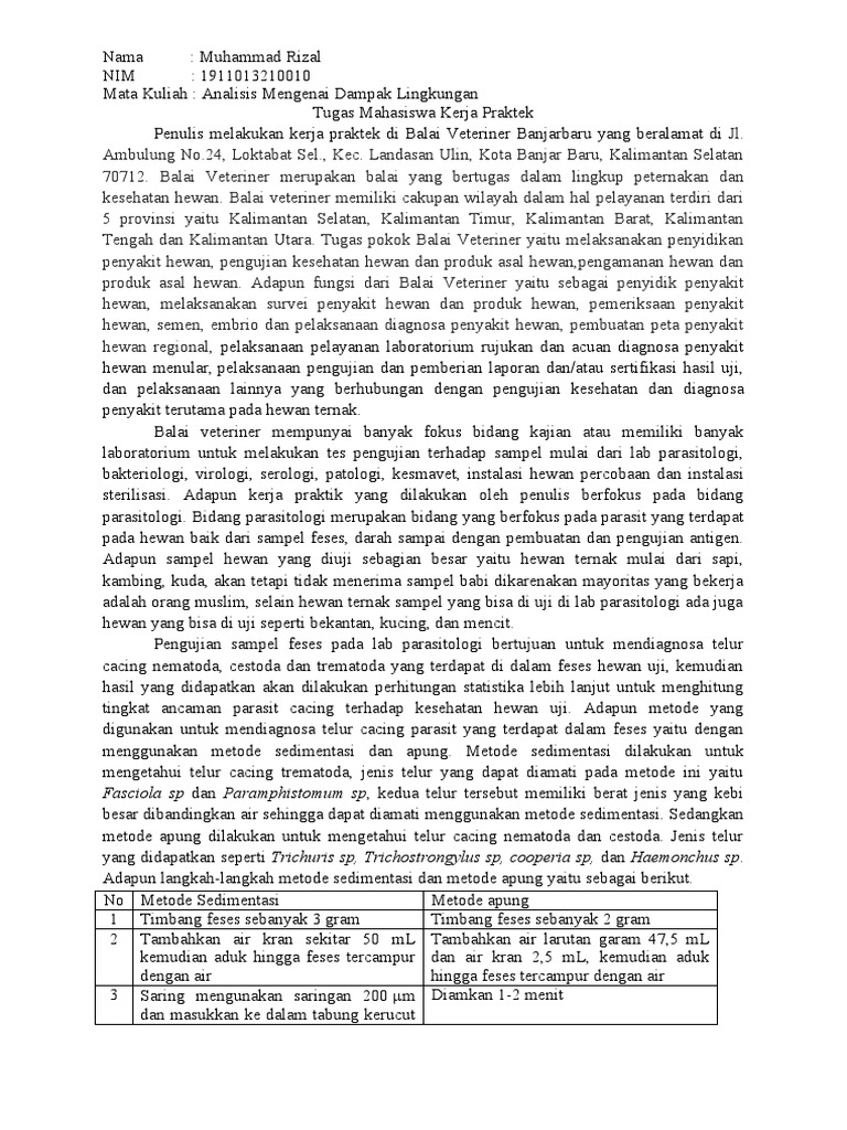 Muhammad Rizal - 1911013210010 - Tugas AMDAL Untuk Mahasiswa KP | PDF