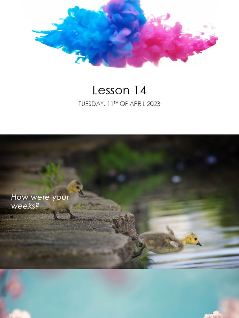 Lesson 14 | PDF