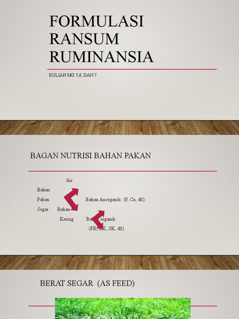 Kuliah MG 6 7 Formulasi Ransum Ruminansia | PDF