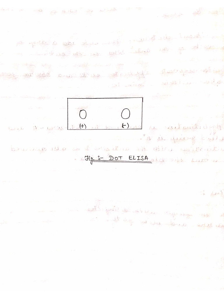 Diagrams of Biotech Practical 4th Sem | PDF