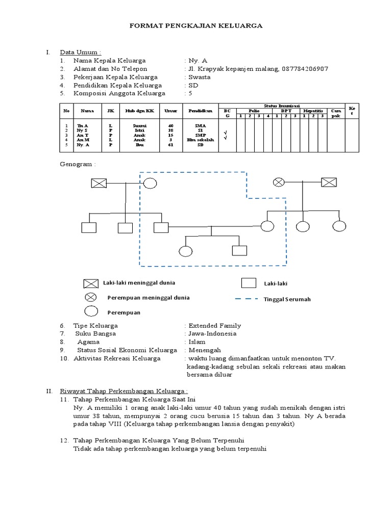 Contoh Pengkajian Keperawatan Keluarga | PDF