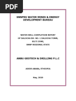 Borehole Completion Report | PDF | Borehole | Casing (Borehole)
