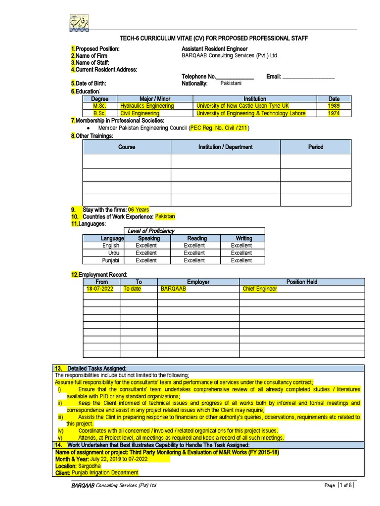 CV Format For TPM - 23-26 | PDF | Consultant | Audit