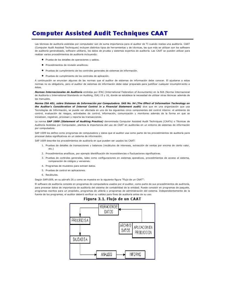 Computer Assisted Audit Techniques CAAT | PDF