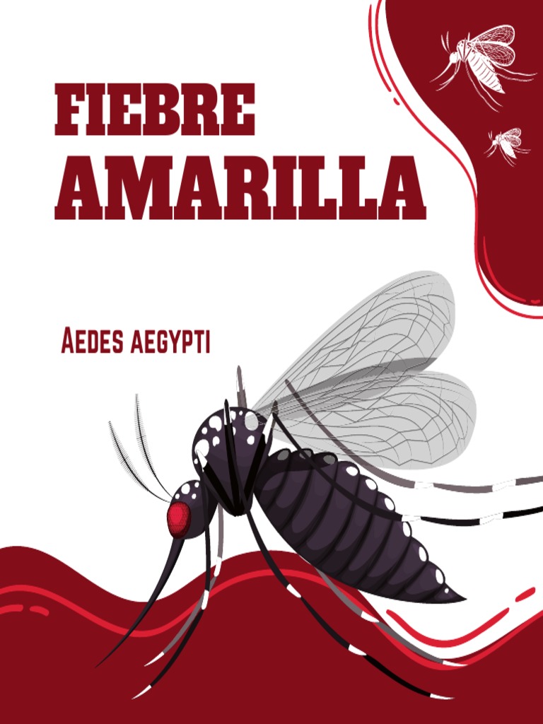 Fiebre Amarilla | PDF Fiebre Amarilla | PDF