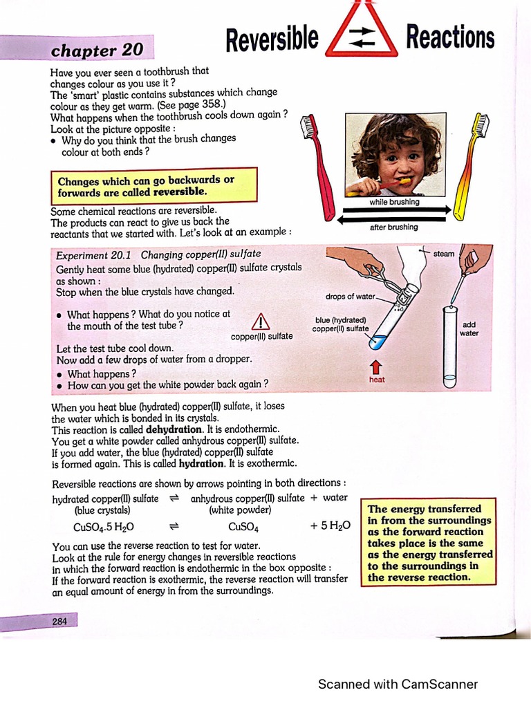 What Is A Reversible Reaction