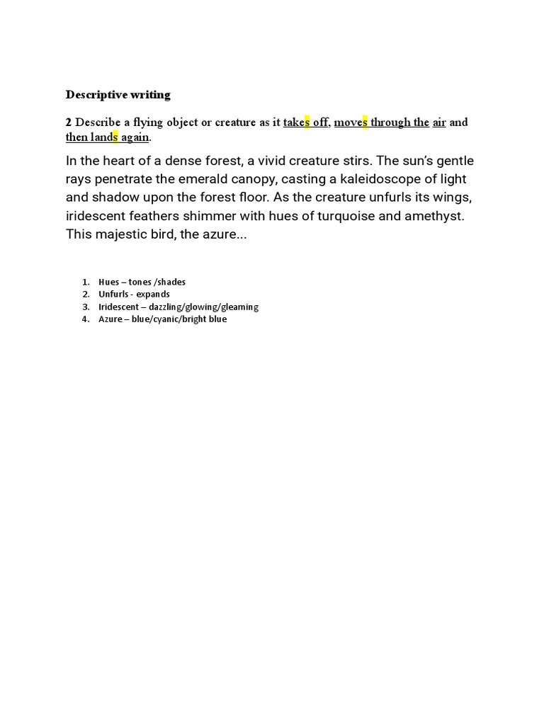 Descriptive Writing - Describe a Flying Object or Creature | PDF