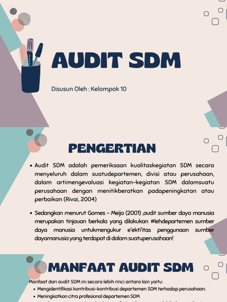 Audit SDM | PDF