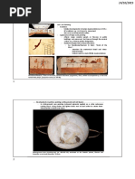 Metron Ariston: PARTHENON | PDF | Geometry | Sculpture