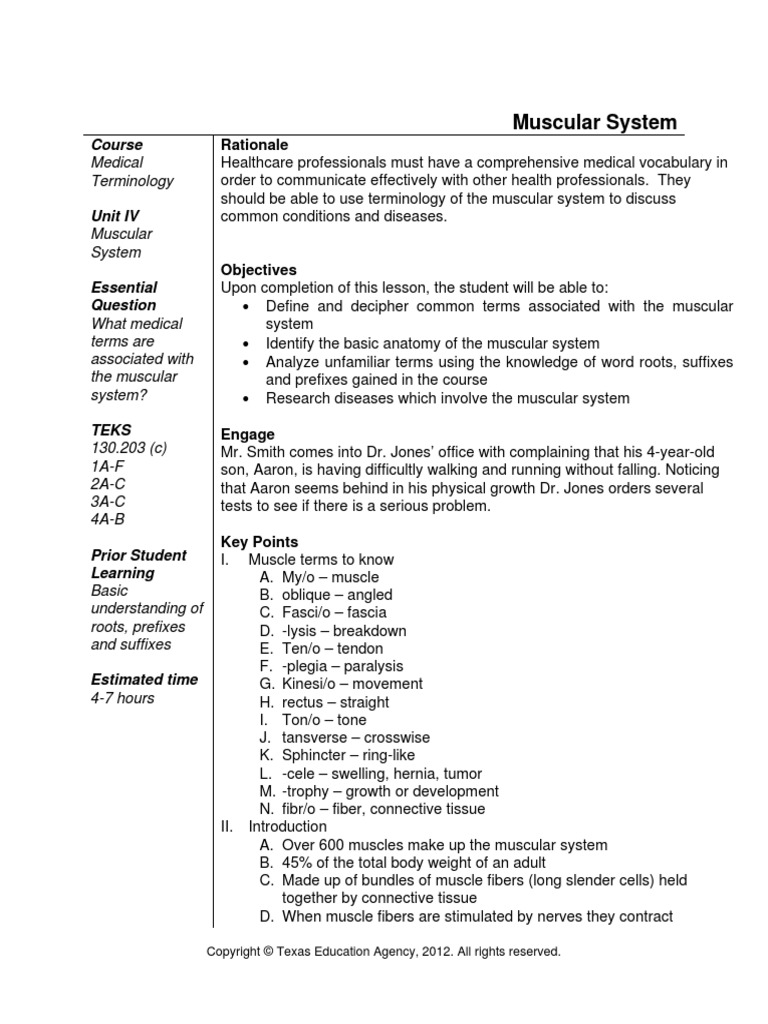 04 Muscular System | PDF | Muscle Contraction | Anatomical Terms Of Motion