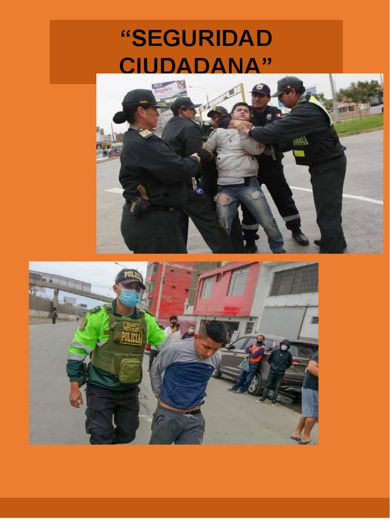 SEGURIDAD CIUDADANA | PDF | Seguridad Pública | Crímenes