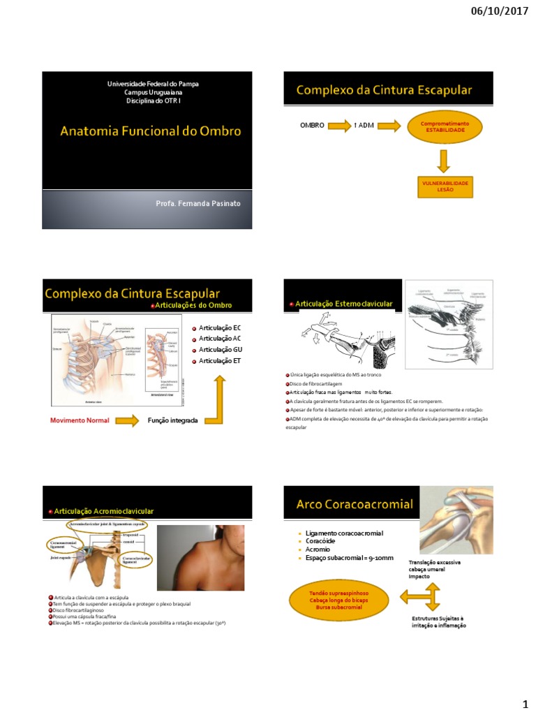 Anatomia Funcional Do Ombro Alunos | PDF | Membros (anatomia) | Sistema Locomotor