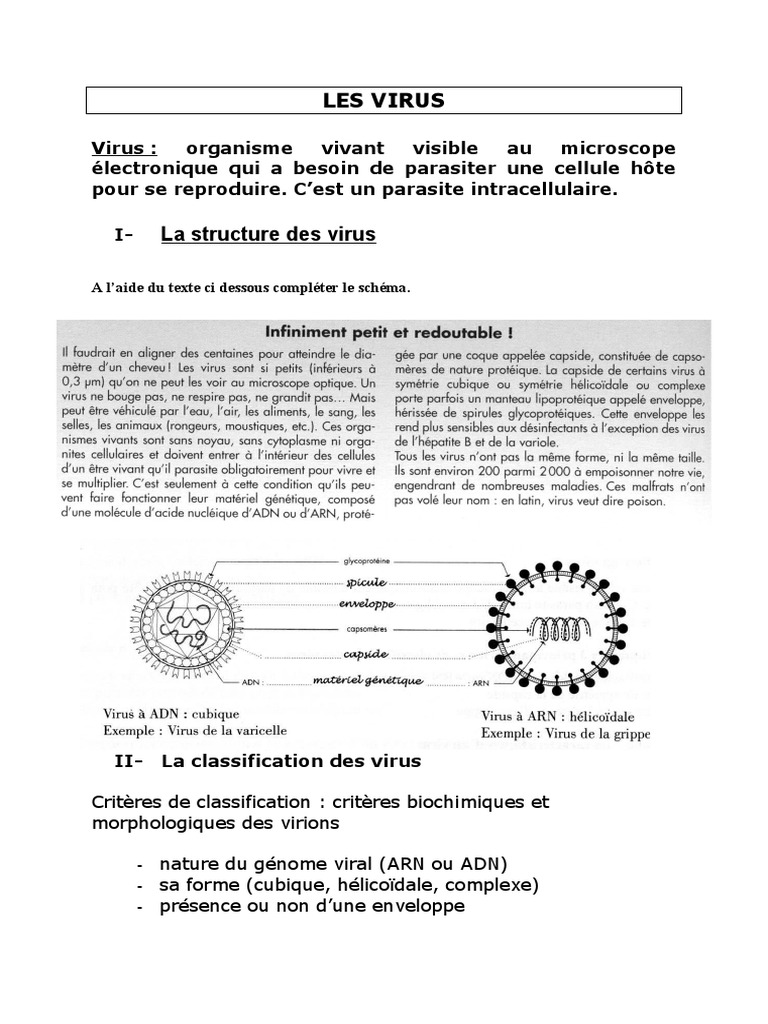 Classification et caractéristiques des virus | PDF | Virus | ADN