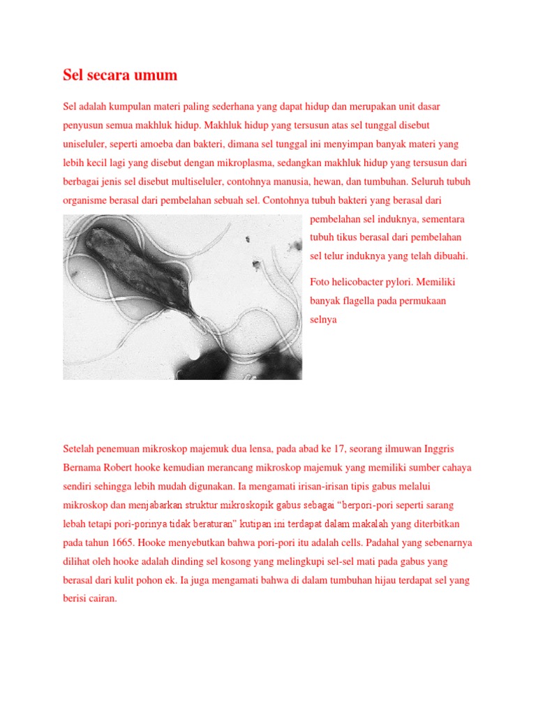 Sel Dan Perkembangan Teori Sel Pdf