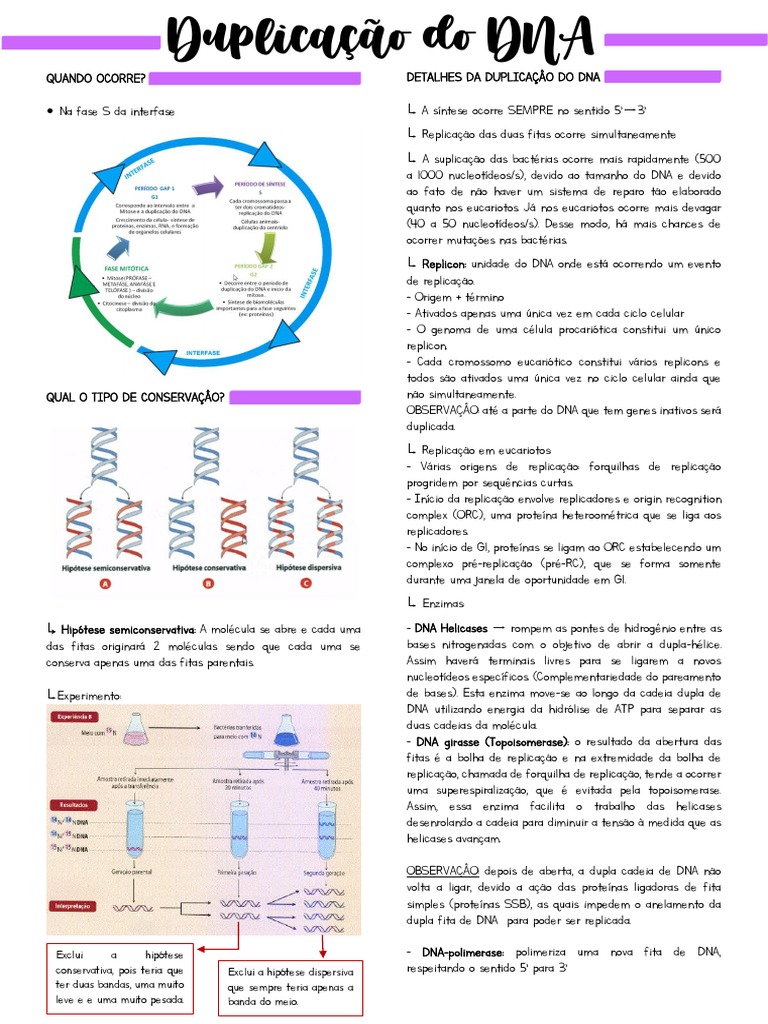 Aula 3 Duplicação Do Dna Pdf Replicação De Dna Dna