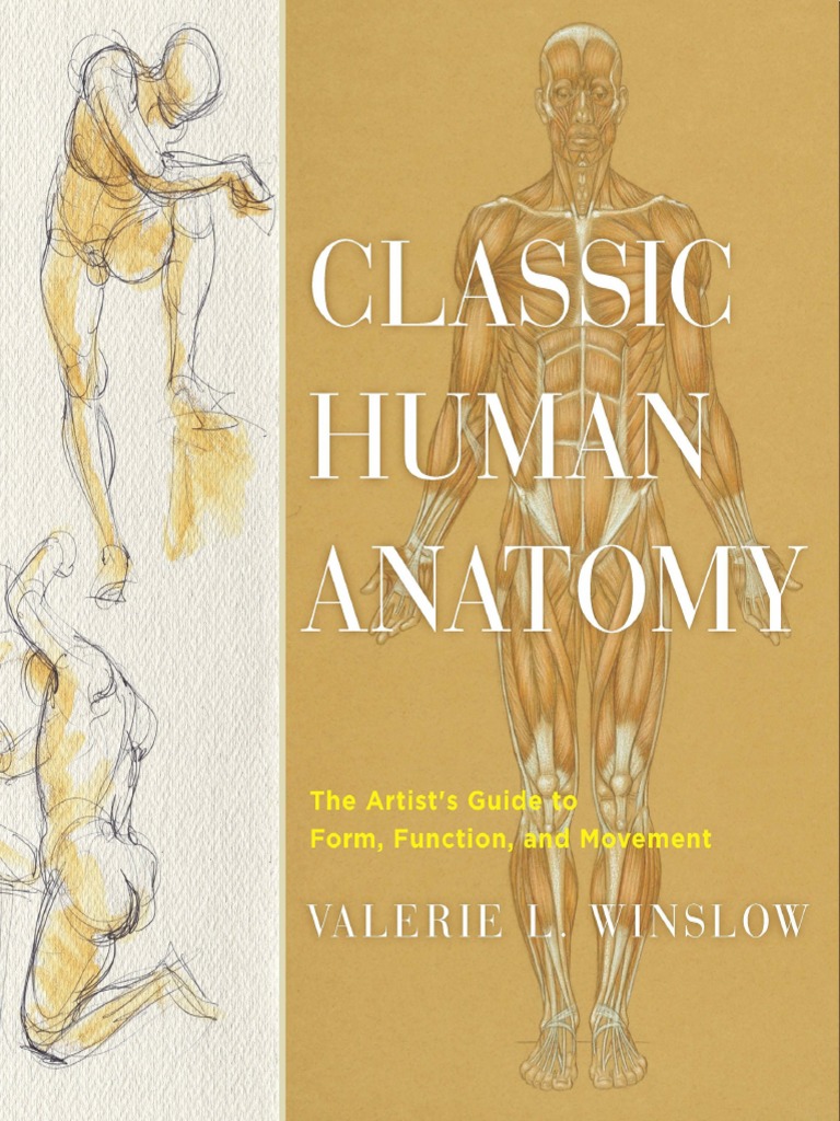 Classic Human Anatomy | PDF