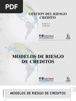 Modelos de Credit Scoring | PDF | Riesgo crediticio | Bancos