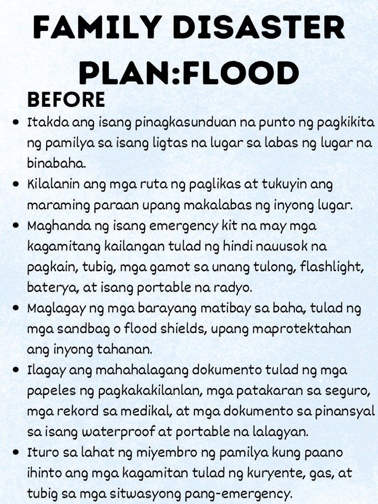 FAMILY DISASTER PLAN | PDF