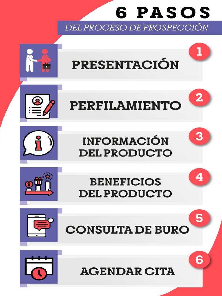 6 Pasos de La Prospección | PDF