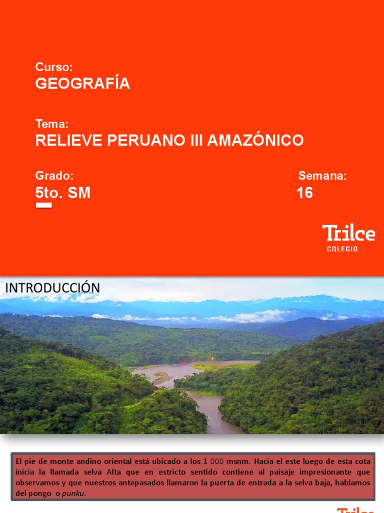 Relieve Amazónico: Selva Alta y Baja | PDF | Andes | Perú