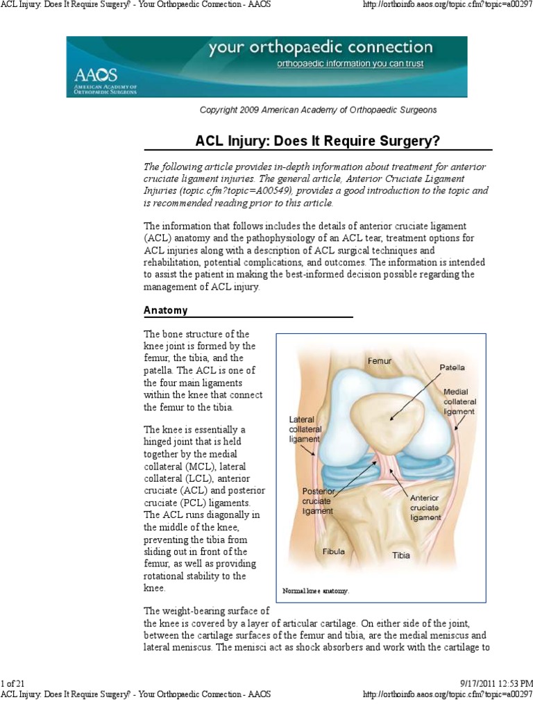 ACL Injury | Knee | Joints