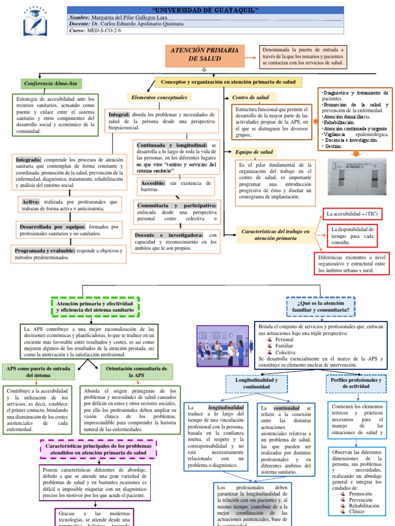 Mapa Conceptual - (APS) | PDF | Cuidado de la salud