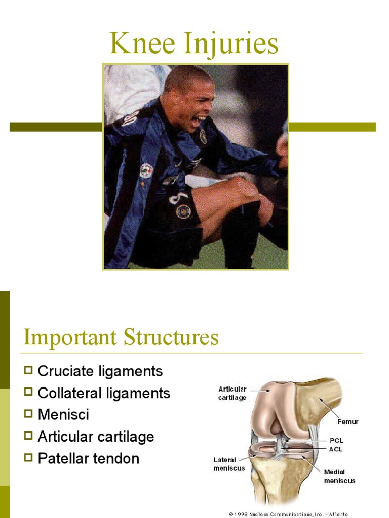 Knee Injury | PDF | Knee | Human Anatomy