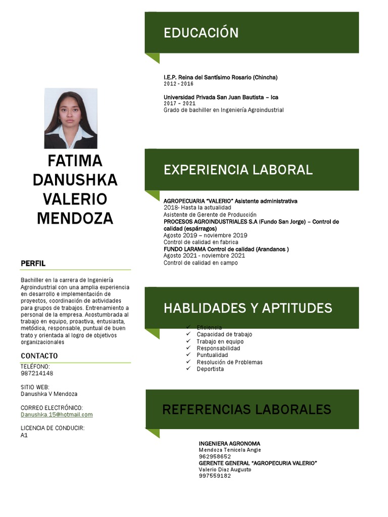 CV valerio Mendoza Danushka | PDF | Business